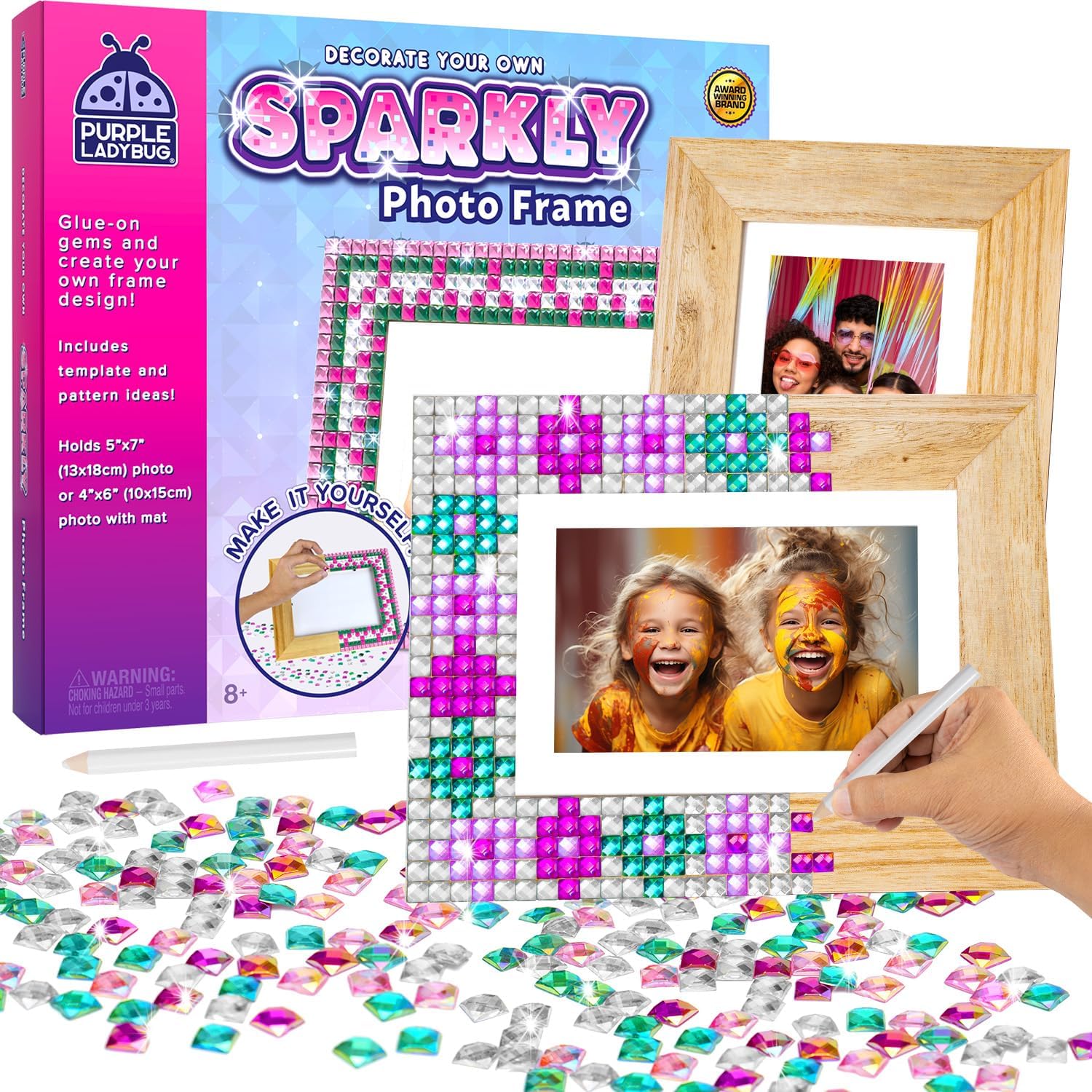 Sparkly Picture Frame Mosaic Kit – Purple Ladybug